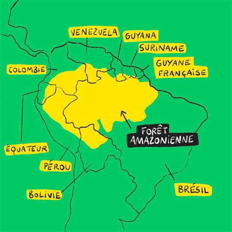 La déforestation de lAmazonie ralentit au Brésil MAJ Radio Canada