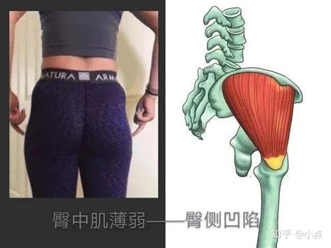 臀部两侧凹陷怎么变饱满5大徒手动作教你练 知乎