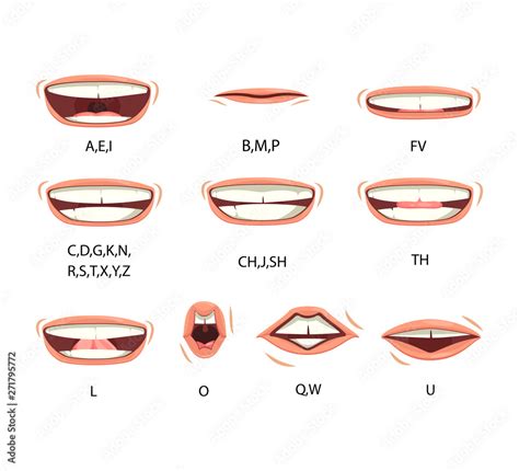 Male Lip Shapes Chart