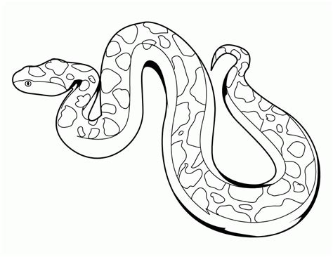 Python Coloring Pages Coloring Home