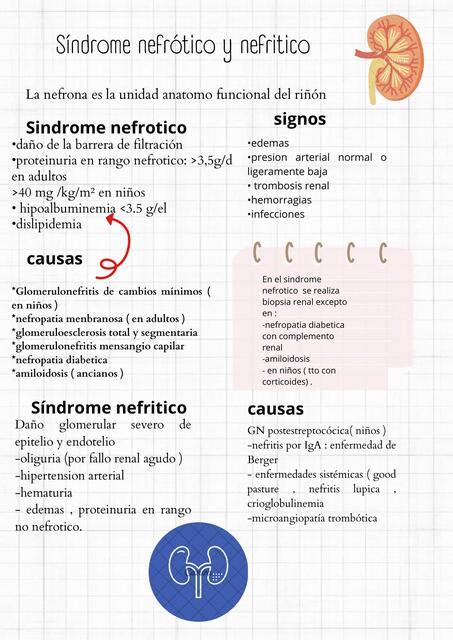 S Ndrome Nefrotico Y Nefritico Enfermerat Cnica Udocz