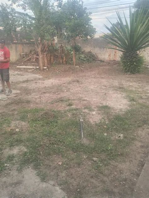 Limpeza Patio No Brasil