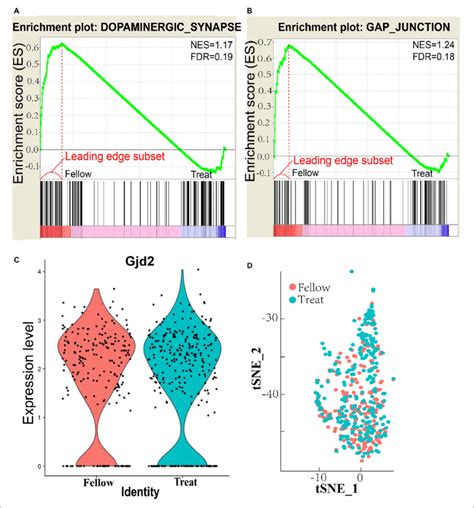 Enrichment Pathways And Plots Of AII Amacrine Cells ACs A