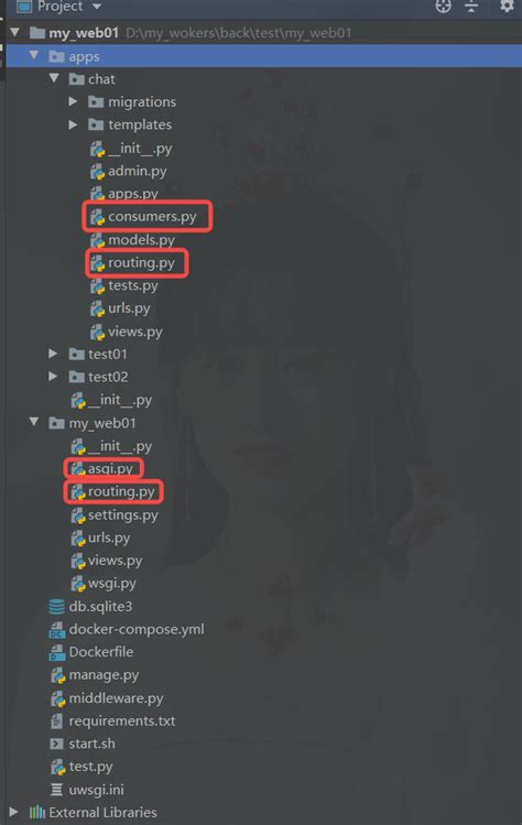 django websocket CSDN博客