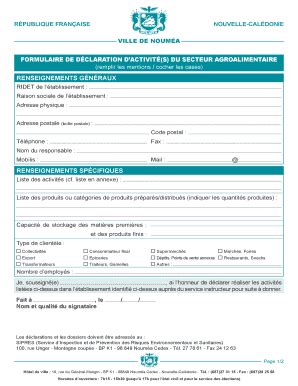 Remplissable En Ligne Noumea Formulaire De D Claration D Activit S