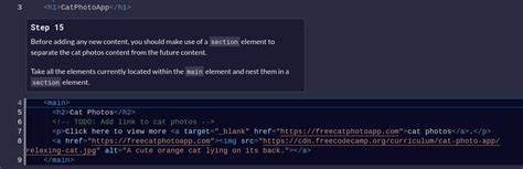 cat photo app step 15 html css the freecodecamp forum