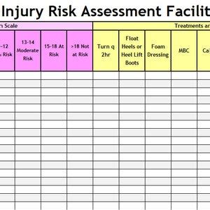Pressure Injury And Wound Tracking Spreadsheet Etsy