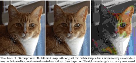 understanding compression in digital photography