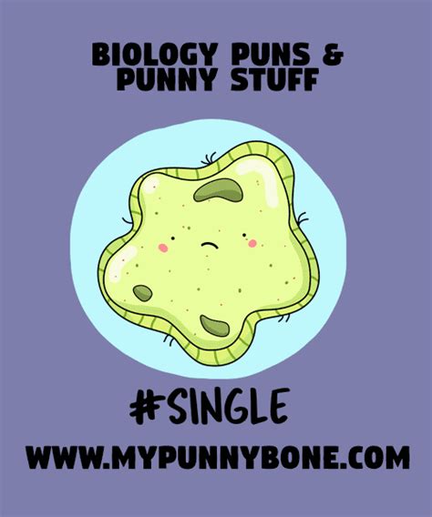 115 Biology Puns And Jokes That Are So Humerus MyPunnyBone
