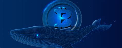 A Queda No N Mero De Baleias De Bitcoin Indica Mudan As No Mercado
