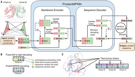 Robust Deep Learningbased Protein Sequence Design Using ProteinMPNN
