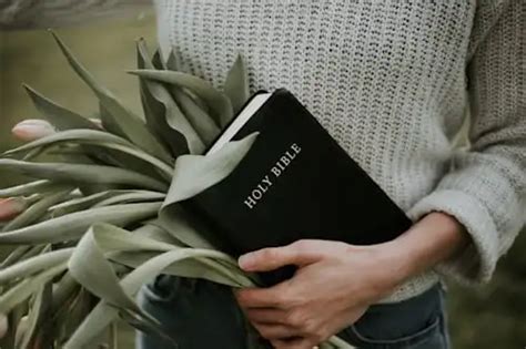 Vers Culos B Blicos Sobre A Volta De Jesus