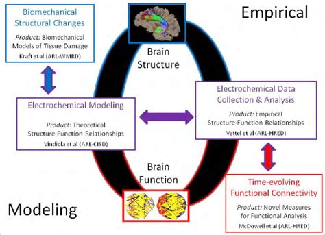 An Overview Of The Four Main Research Areas In The DSI On Brain
