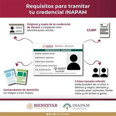 Nueva Credencial INAPAM 2022 Requisitos Para Tramitar Tu Tarjeta