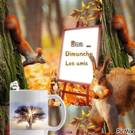 Dimanche Anim Gratuit Picmix