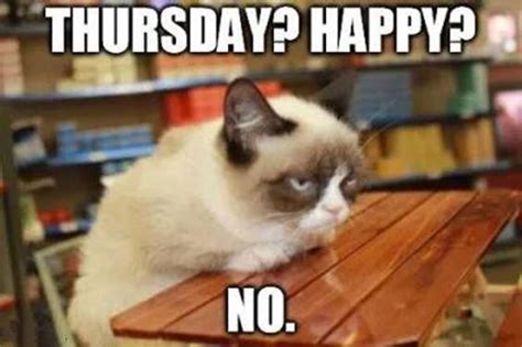 Funny Thursday Memes To Get You Through Week Funzumo