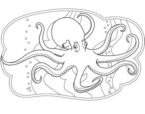 Desenhos De Polvo Para Colorir E Imprimir Colorironline