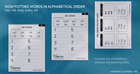 How Putting Spelling Words In Alphabetical Order Helps Build Strong