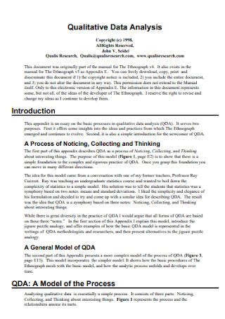 Sample Data Analysis Templates In Pdf Ms Word