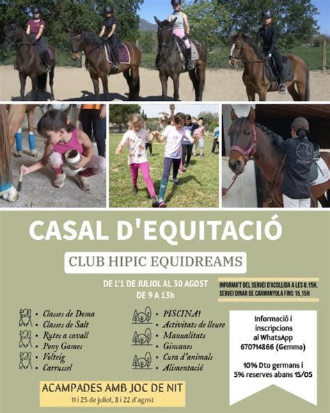 Propostes De Casals D Estiu 2024 Web Oficial De L Ajuntament De