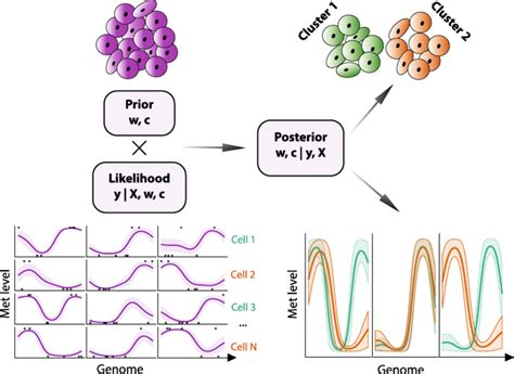melissa bayesian clustering and imputation of single cell methylomes genome biology full text