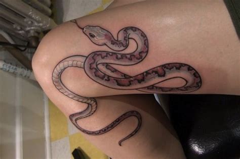 Los Mejores Tatuajes De Serpientes Y Su Significado Weird Tattoos