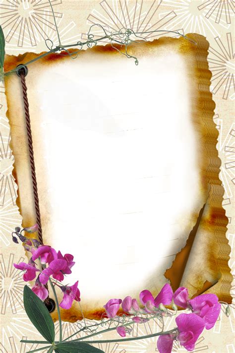 Imagens Png fundo transparente grátis Coleção de frames PNG 8
