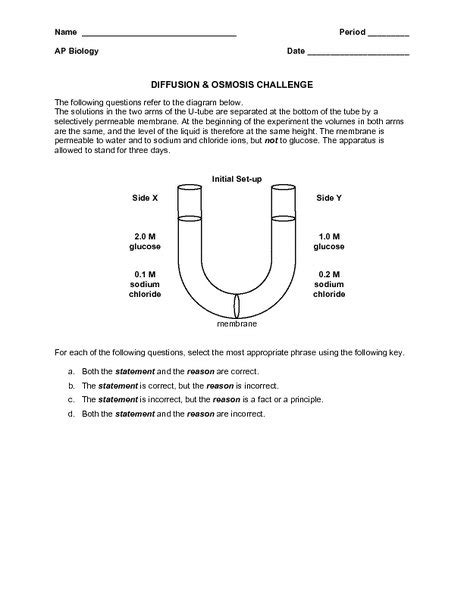 Diffusion And Osmosis Worksheet Diffusion And Osmosis Worksheet Free