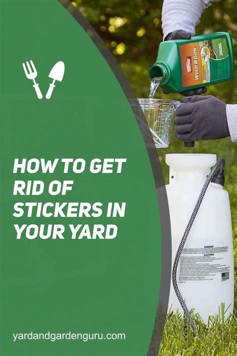 How To Get Rid Of Stickers In Your Yard
