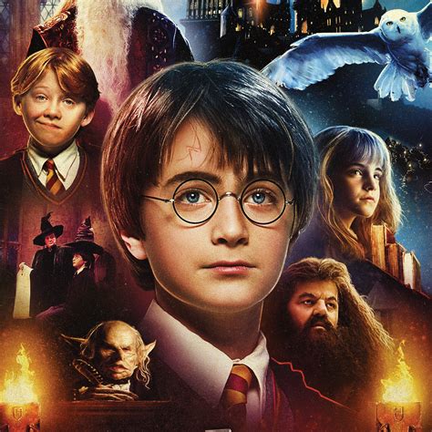 Harry Potter cumple 25 años La Mosca