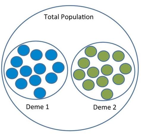 Unit Population Structure And Dynamics Flashcards Quizlet