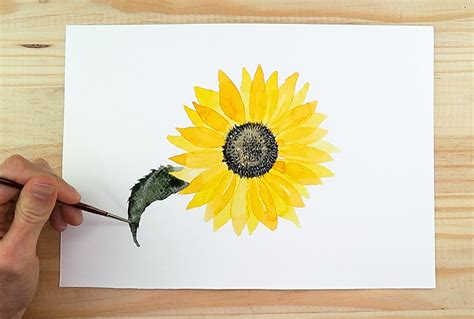 Sunflower Watercolor Painting Easy Best Flower Site