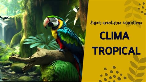 Descubriendo el clima tropical Aventura en la Selva para niños