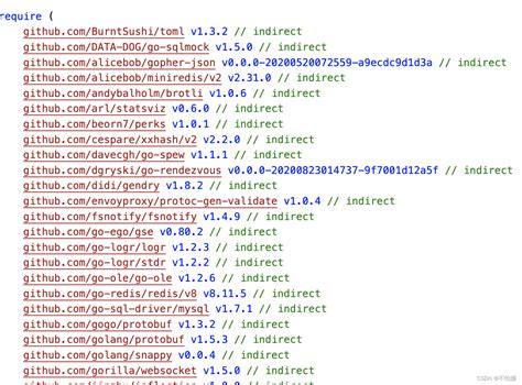 【golang学习之旅】go mod tidy go mod tidy作用 csdn博客