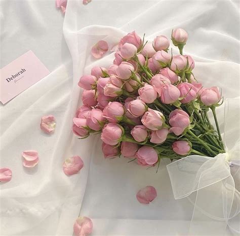 Flowers Nature My Flower Pretty In Pink Beautiful Flowers Lovely