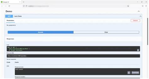 how to connect swagger and net core instruction by kodershop
