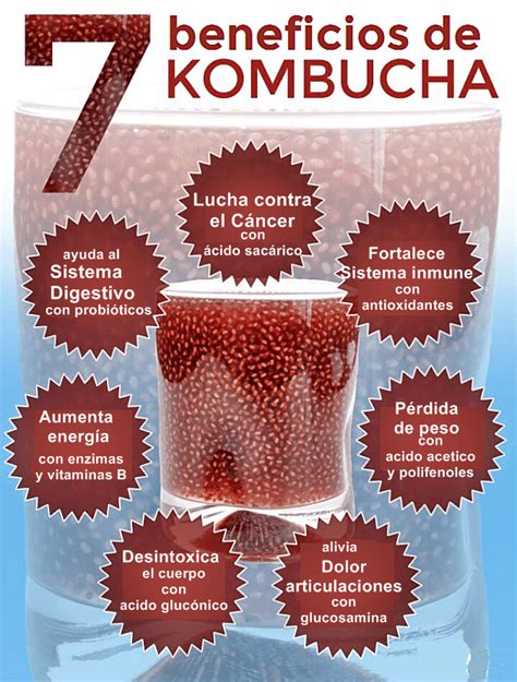 Beneficios De La Kombucha