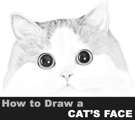 How To Draw A Cat S Face Realistic Portrait Step By Step Drawing