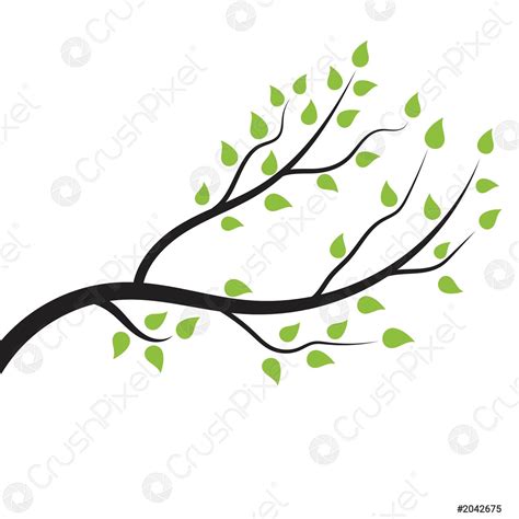 Tree Branch Vector Ilustration Design Stock Vector Crushpixel