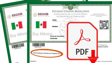 Te Piden Tu Curp Certificada Te Decimos C Mo Puedes Obtenerla En