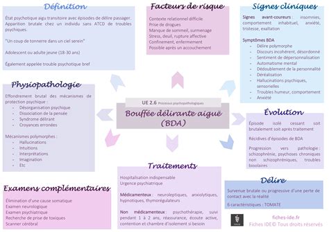 Bouffée délirante aiguë BDA Fiches IDE