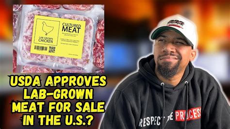 USDA Approves Lab Grown Meat For Sale In The U S YouTube