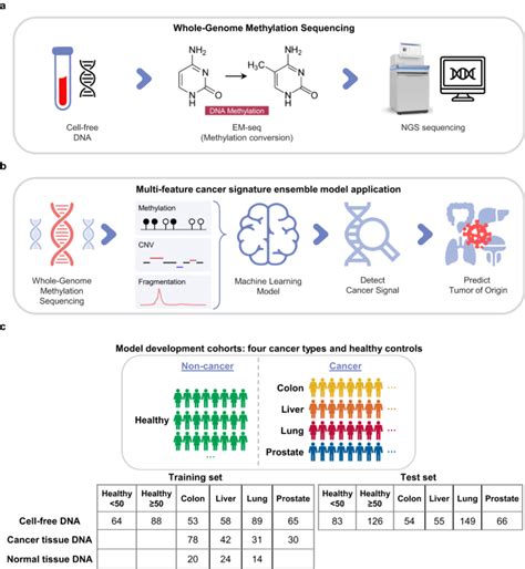Cancer Signature Ensemble Integrating CfDNA Methylation Copy Number