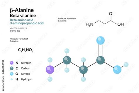 Alanine Or Beta Alanine Beta Amino Acid Structural Chemical Formula