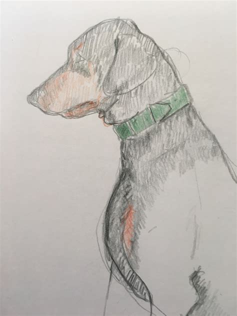 Figurative Drawings Muz Khan