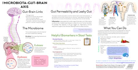 What Does Serotonin Syndrome Feel Like Serotonin Syndrome Symptoms