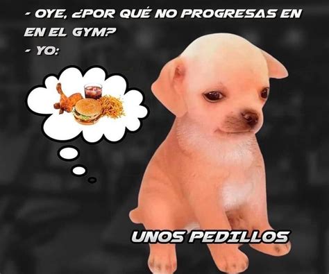 Kesi Kesi Perrito On Instagram Unos Pedillos Meme Memesespa Ol