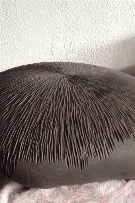 Pin Di Sandy Budziak Su Pottery Clay Ceramic Nel 2024 Sculture Di