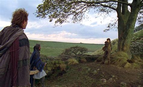 Famous Sycamore Gap Tree Cut Down Teen Arrested In England
