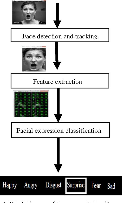 figure 1 from spontaneous facial expression recognition based on histogram of oriented gradients